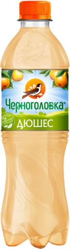 Лимонад ЧЕРНОГОЛОВКА Дюшес в КФС — цена, калорийность, состав, отзывы ...