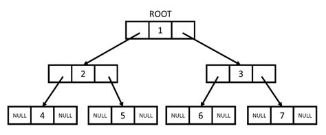 Introduction to Binary Tree | ProCoding