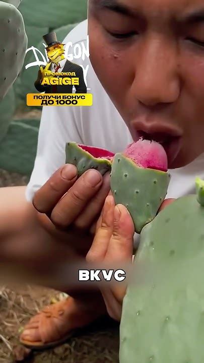 Мороженое из кактуса? 🤯🔥🌵 - YouTube