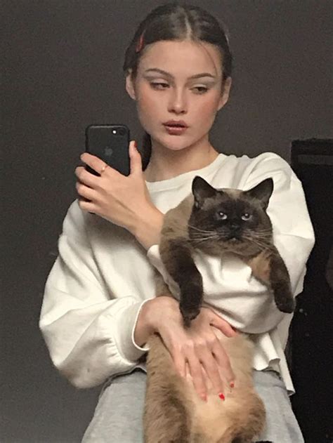 Pin on мяв ️