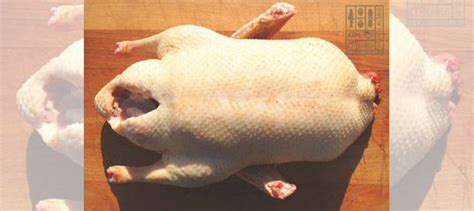 Утка домашняя мясо купить в Октябрьском | Товары для дома и дачи | Авито