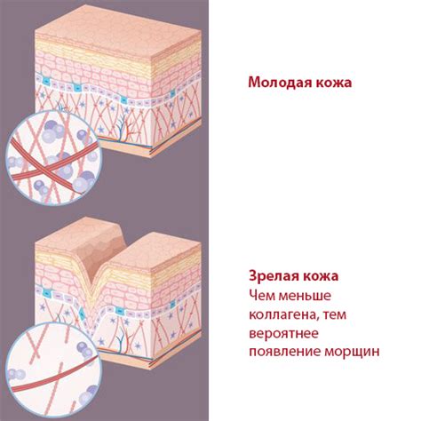 Доппельгерц Бьюти Коллаген