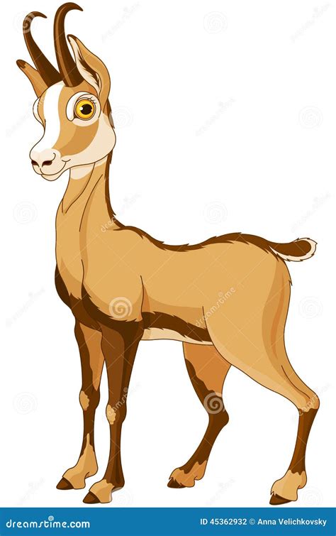 Camoscio Illustrazioni, Vettoriali E Clipart Stock – (808 Illustrazioni ...