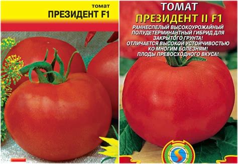 Томат президент: описание сорта, фото, отзывы, характеристика плодов ...