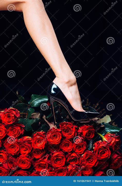 Mode Modeschuhe Elegantes Frauenkonzept Frauen-sexy Beine Dominant ...