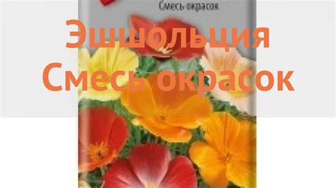 Эшшольция обыкновенная Смесь окрасок 🌿 обзор: как сажать, семена ...