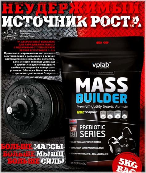 Vplab Mass Builder - цена: 7917 руб. — купить гейнер Vplab 5 кг или 1,2 ...