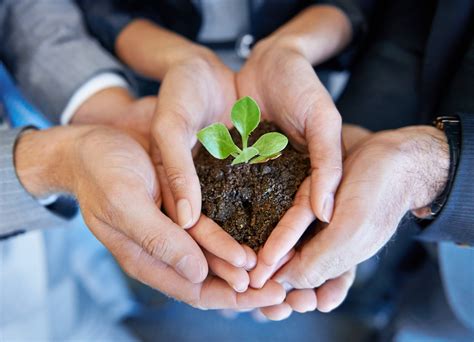 Organizational Culture