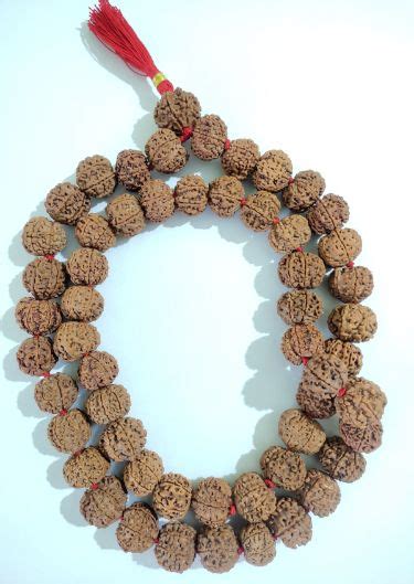सात मुखी रुद्राक्ष / SEVEN FACE RUDRAKSHA / 7 MUKHI RUDRAKSHA ...
