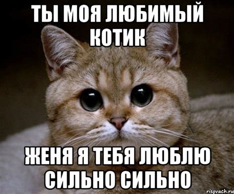ты моя любимый котик женя я тебя люблю сильно сильно, Мем Пидрила ...