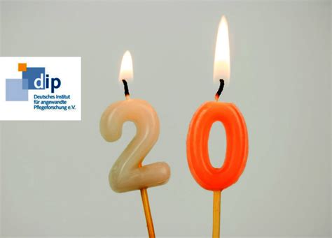 Pflegeforschung - 20 Jahre DIP