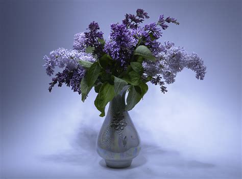 Фотография сиреневый букет, автор Evgeny U