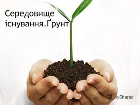 Презентация на тему: "ГРУНТ ЯК СЕРЕДОВИЩЕ ІСНУВАННЯ ОРГАНІЗМІВ ...