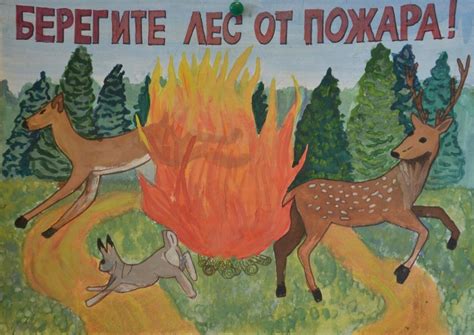 Плакат на тему защита леса от пожара (49 фото)
