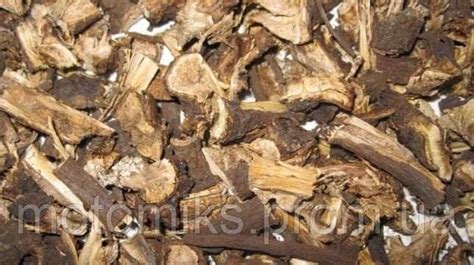 Купить Корінь щавелю кінського (Корень щавеля конского) 100г, цена 40 ...