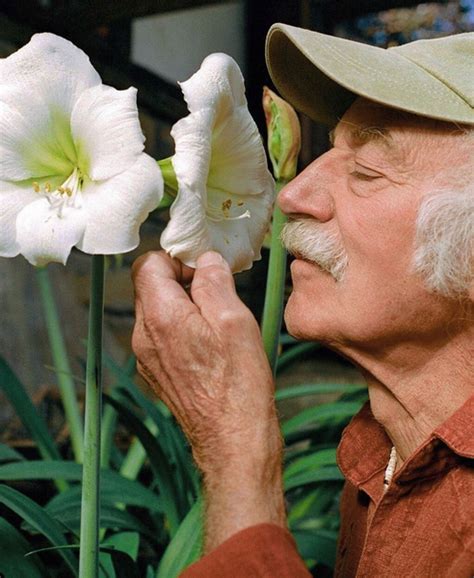 Why Plant-Based Scent is Important 🌿 - Everyday Oil
