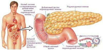 Диета для поджелудочной железы » Рецепты.ТВ
