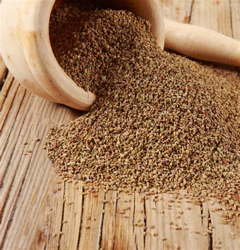 Ajwain – Jaise Trade International