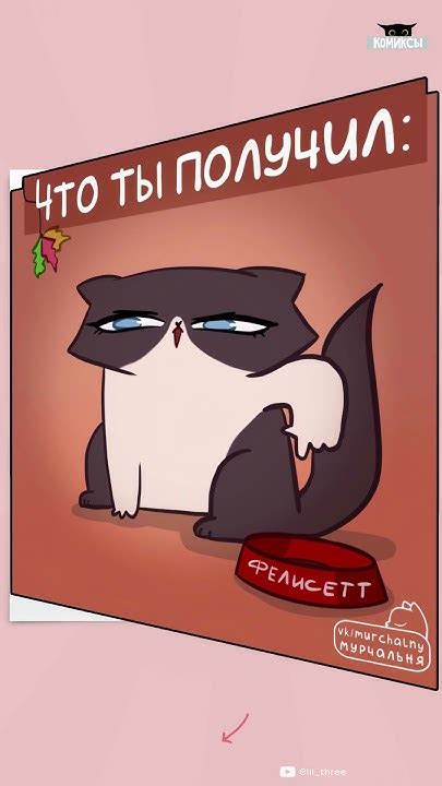 😼 Котик: ожидания и реальность #озвучка #комикс #котики #ожидание # ...