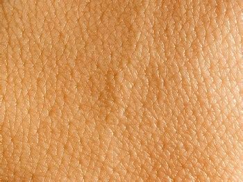 Learn Fascinating Facts About Skin | Farah Dermatology
