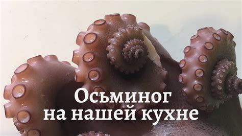 Осьминог на нашей кухне. Готовим вместе - YouTube