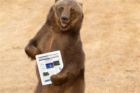 #простоРоссия Житель томского села отбился от медведя компьютером ...