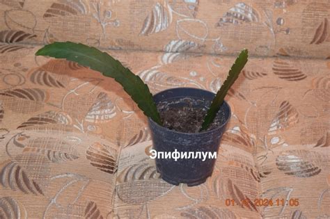 Продам . Верещагино. | Купи-Продай г.Верещагино | ВКонтакте
