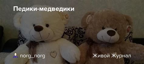 Педики-медведики: norg_norg — LiveJournal