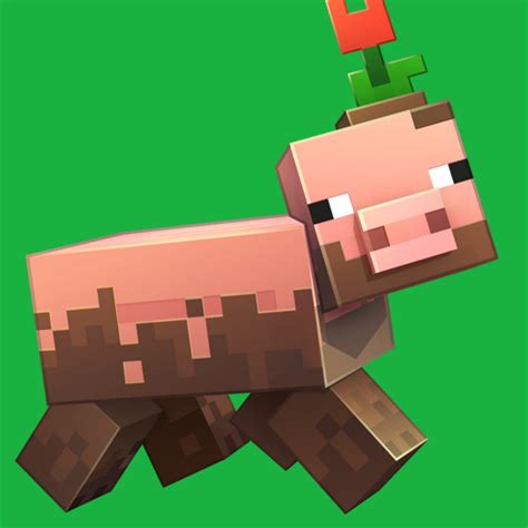 Как нарисовать свинку из майнкрафта - фото и картинки abrakadabra.fun