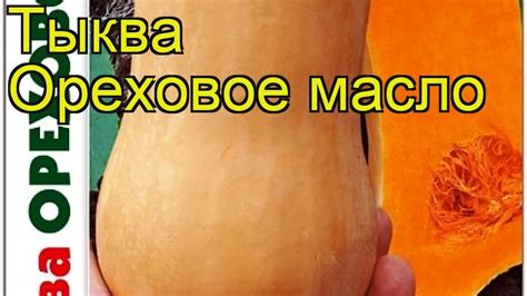 Тыква Ореховое масло (Orehovoe maslo). Краткий обзор, описание ...