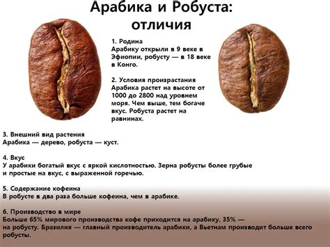 АРАБИКА ИЛИ РОБУСТА? | Кофе - ХОББИ | Дзен