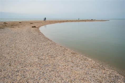 Коса на Азовском море (71 фото)