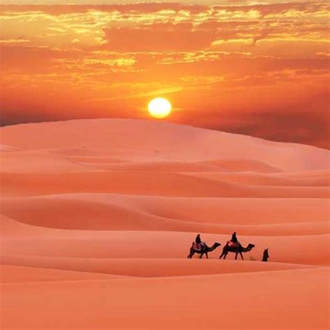 Los Biomas Del Desierto De Mojave