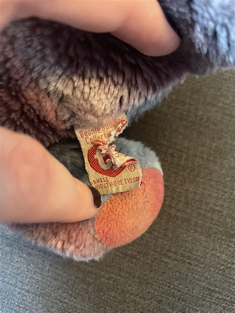 I hope this isn't too off topic but can someone help me find this cat's name : r/cats