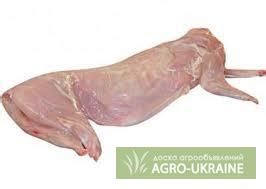 Продам тушки кролика, купити тушки кролика — Agro-Ukraine