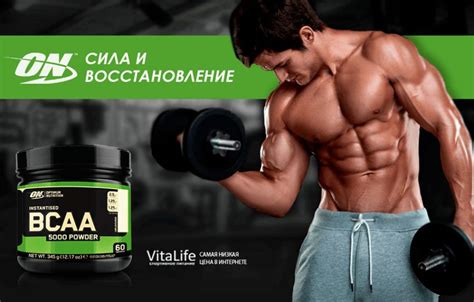 BCAA 5000 Powder от Optimum Nutrition: как принимать, отзывы