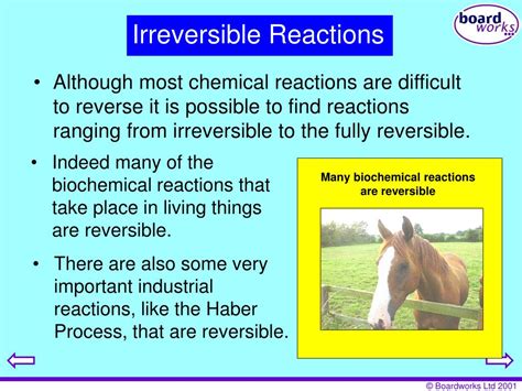 PPT - Reversible Reactions and Equilibrium PowerPoint Presentation ...