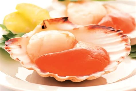Scallop Meat | Pacific West