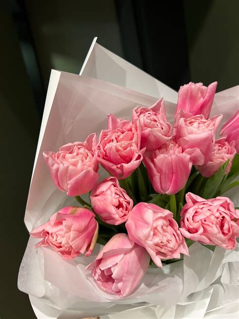 Розовые пионовидные тюльпаны - купить в СПБ с доставкой в Kraft Flowers