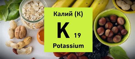 Калий: польза для организма и иммунитета | Ukrepit-immunitet.ru