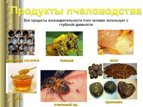 "Чему может научить пчела человека ?" - начальные классы, презентации