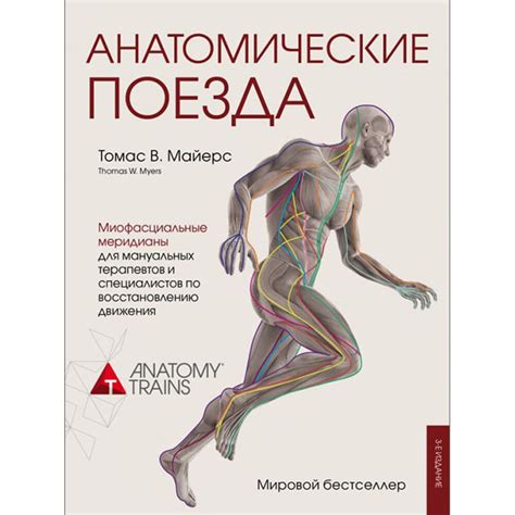 Купити книгу Анатомические поезда - Томас Майерс (978-617-7764-92-1) в ...