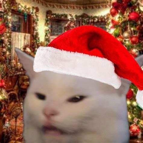 Pin de evilin en mem | Gatos