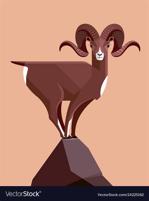 Arkhar Royalty Free Vector Image - VectorStock