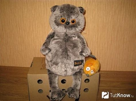Как выглядит кот Басик | Игрушки ручной работы, Куклы ручной работы ...