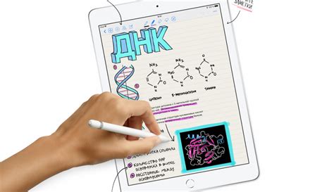 В чём разница между iPad и iPad Pro — Wylsacom