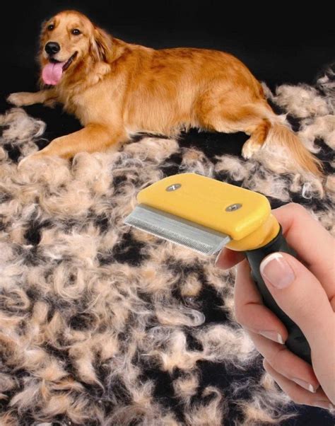 Furminator pro psy (22 fotografií): co to je? Jak používat hřeben na ...
