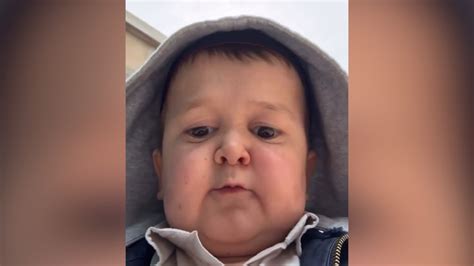 Блогер Хасбик попытался оправдаться за видео с кошкой после обвинений в ...