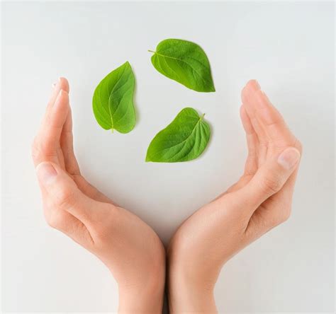 Raypath, czyli firma będąca partnerem biznesowym MyEco365