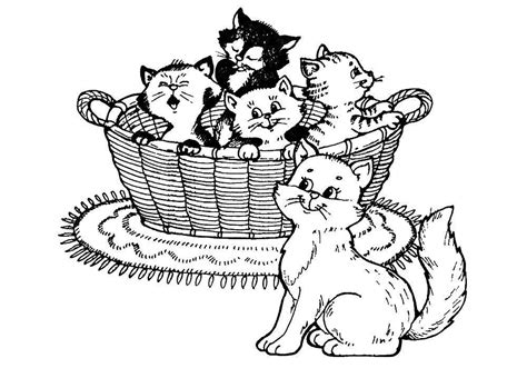 Раскраски котята, кошки, котики распечатать бесплатно, скачать